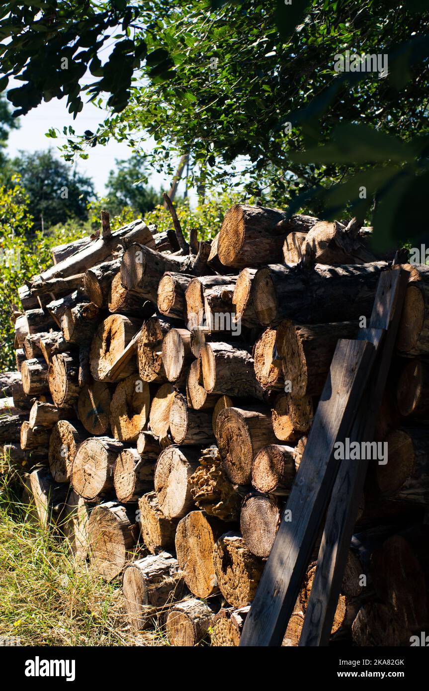 A stack of firewood, sawn wood in the backyard. Vertical photo Stock ...
