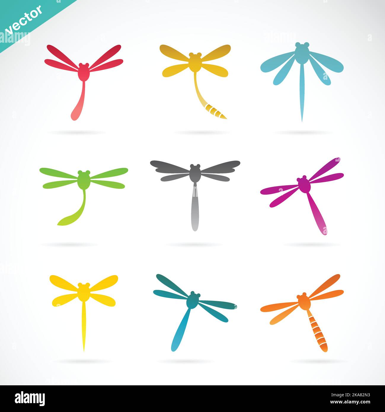Vector group of colorful dragonfly on white background. Easy editable ...
