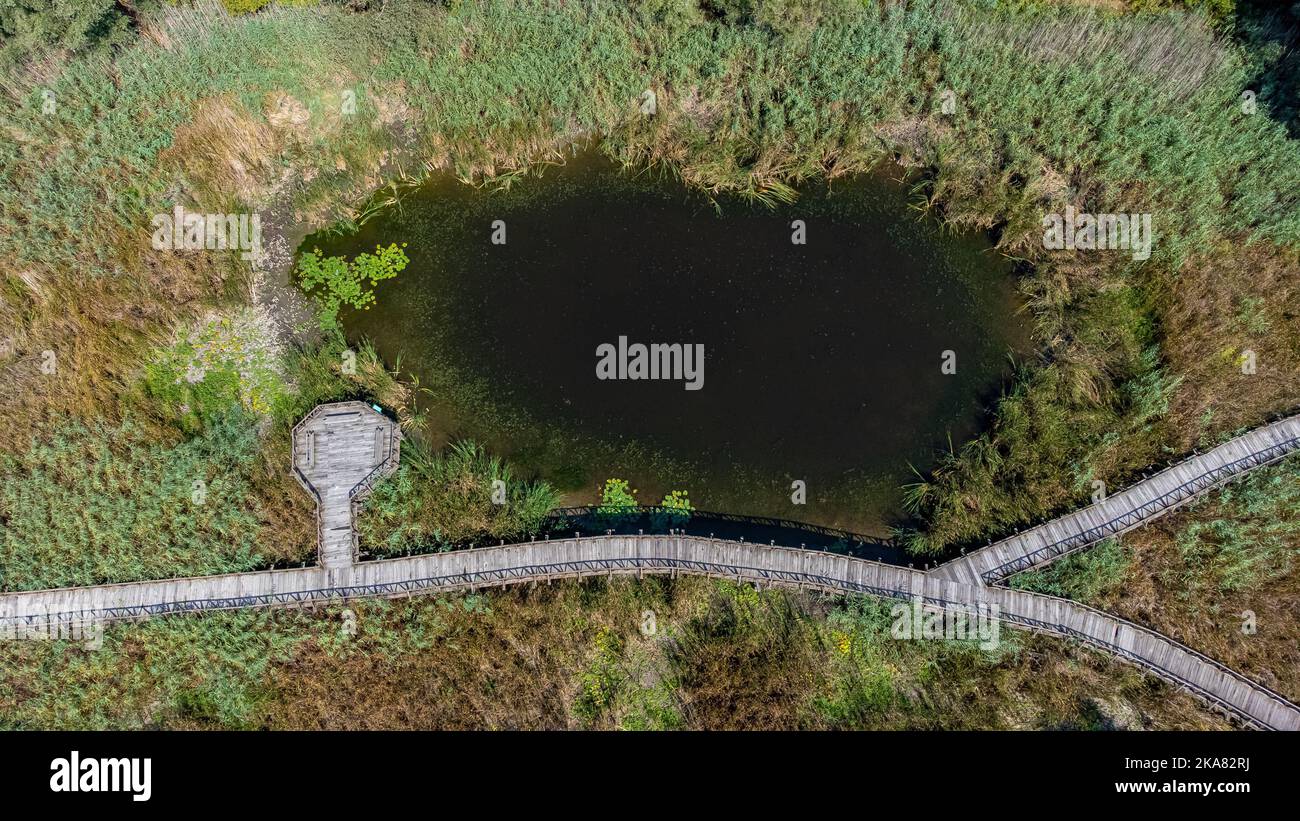 Aerial view of National Park Kopacki Rit during a Dunav low water level ...