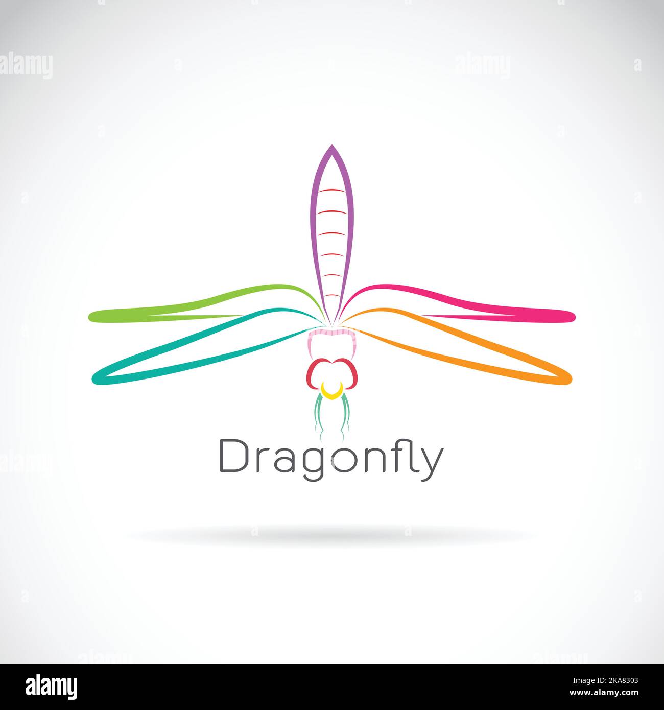 Vector of dragonfly on white background. Easy editable layered vector ...
