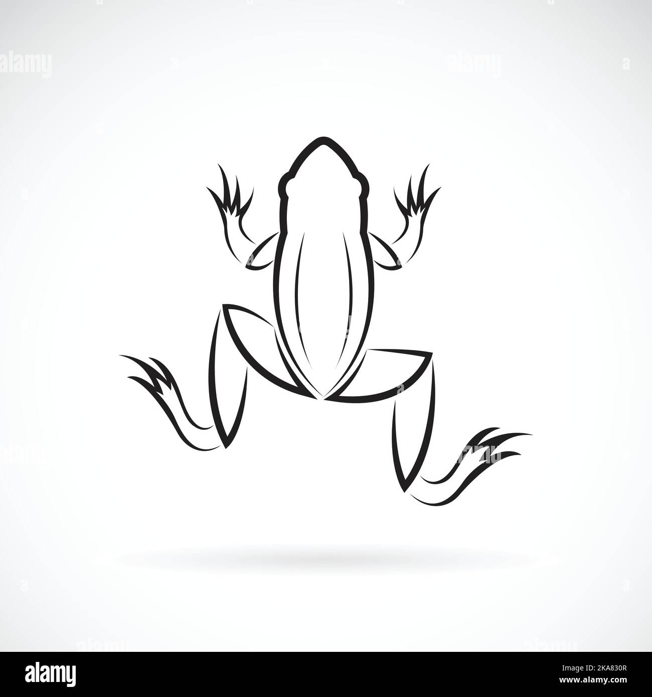 Vector image of a frog design on white background. Easy editable ...