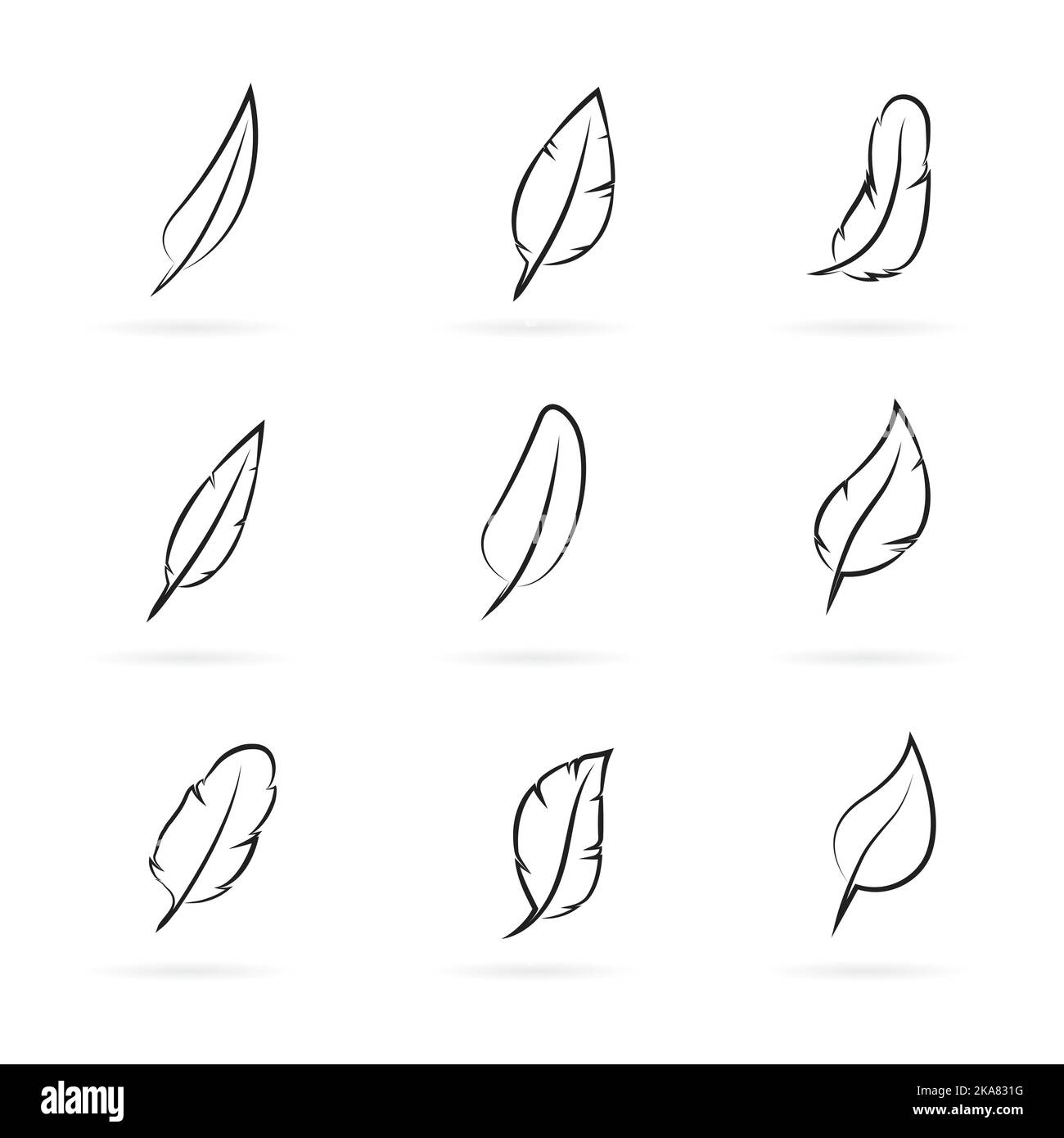 Vector group of feathers on white background. Easy editable layered ...