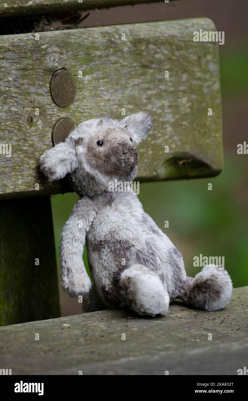 A Childs lost and muddy soft toy sitting on a bench showing the concept ...