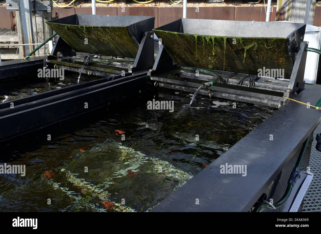 Helmholtz centre for ocean research kiel hi-res stock photography and ...