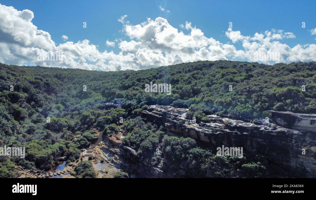 A beautiful shot of stairs leading to the forest and the rock Stock ...