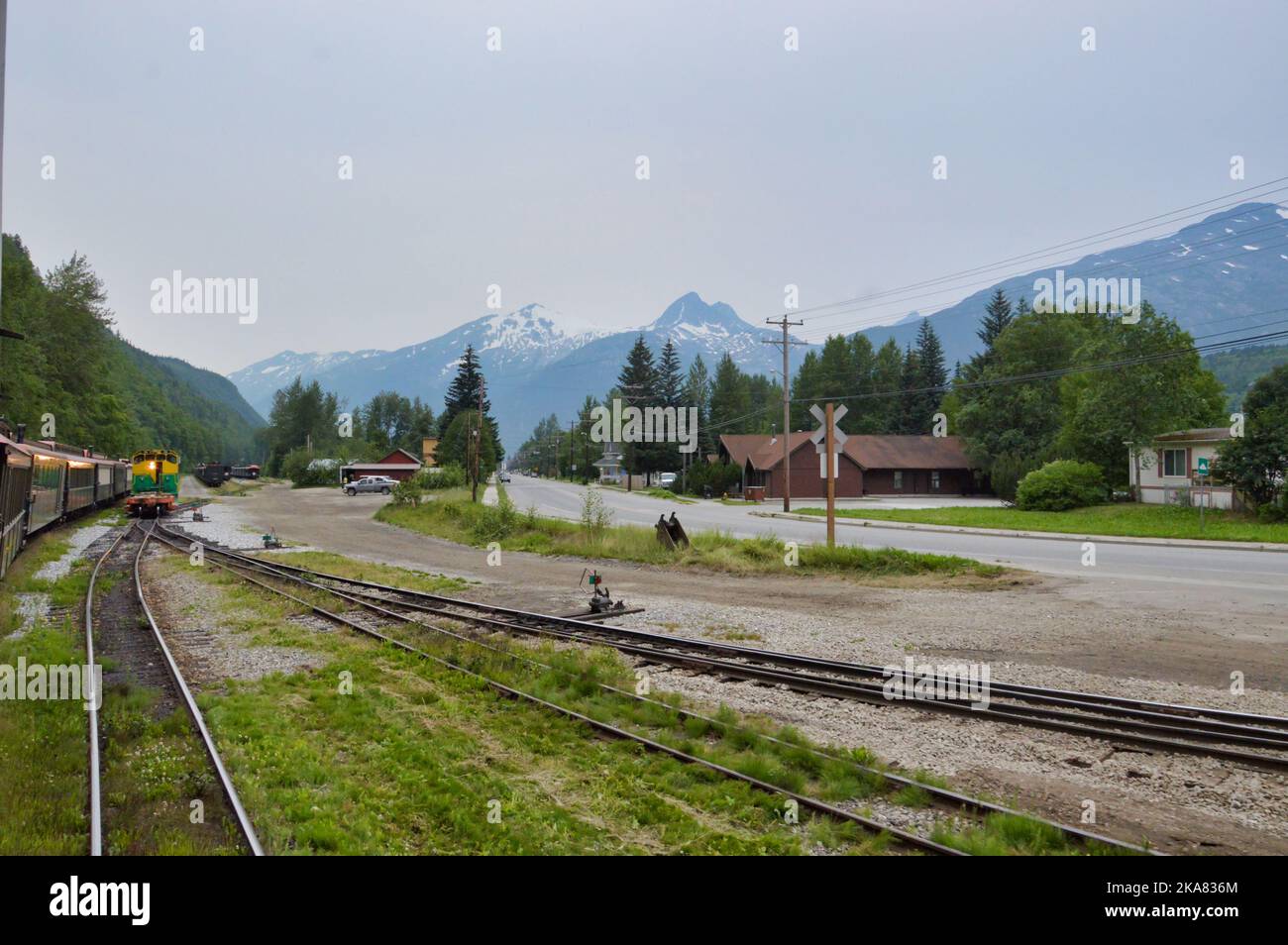 A running green train with a forest and cloudy sky on the background ...