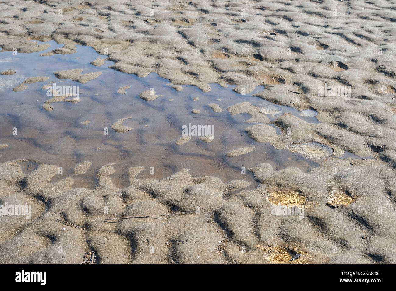 Granular forms hi-res stock photography and images - Alamy