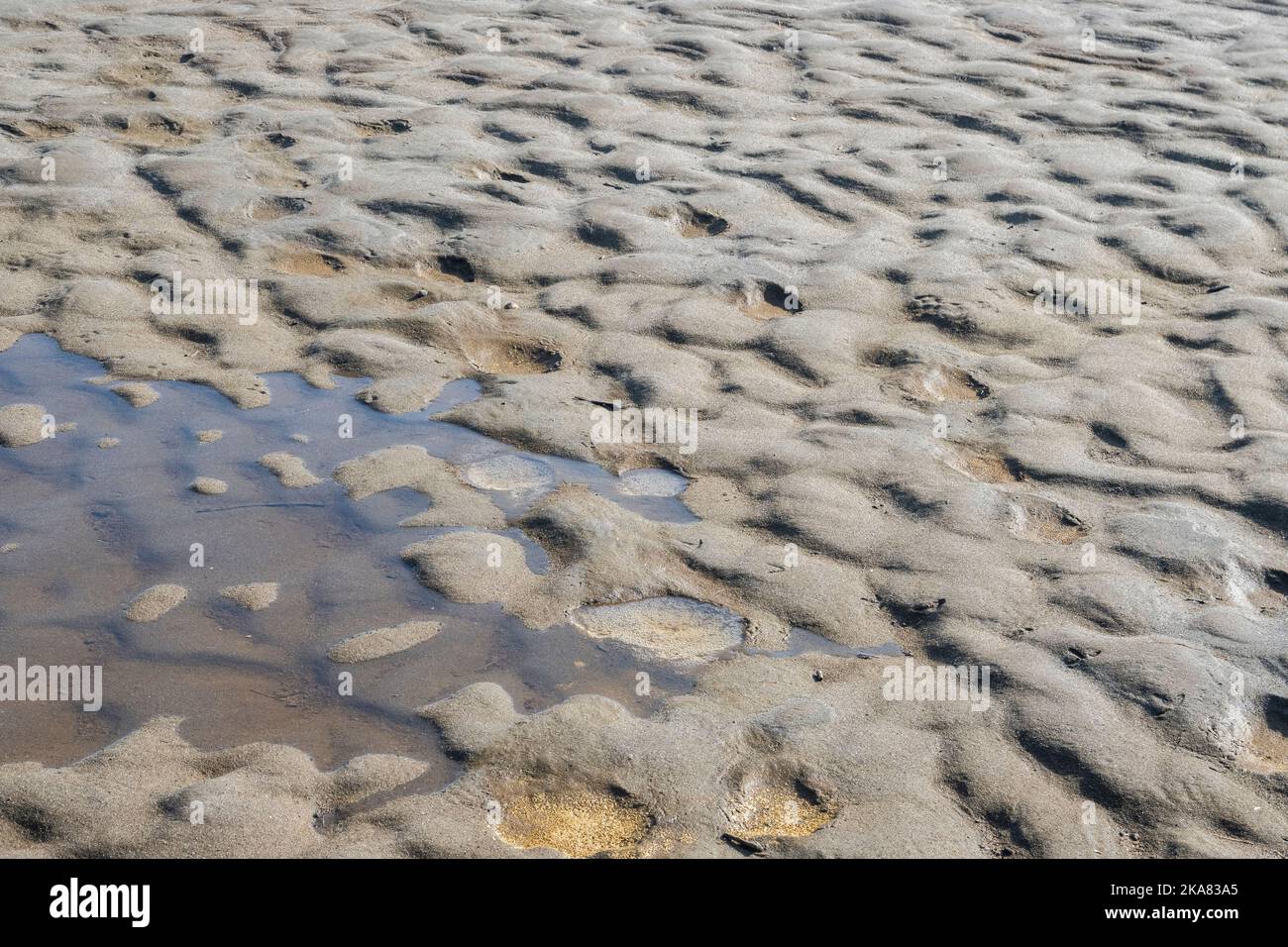 Dry lagoon soil with wavy sand, granular forms and a bit of sea water ...