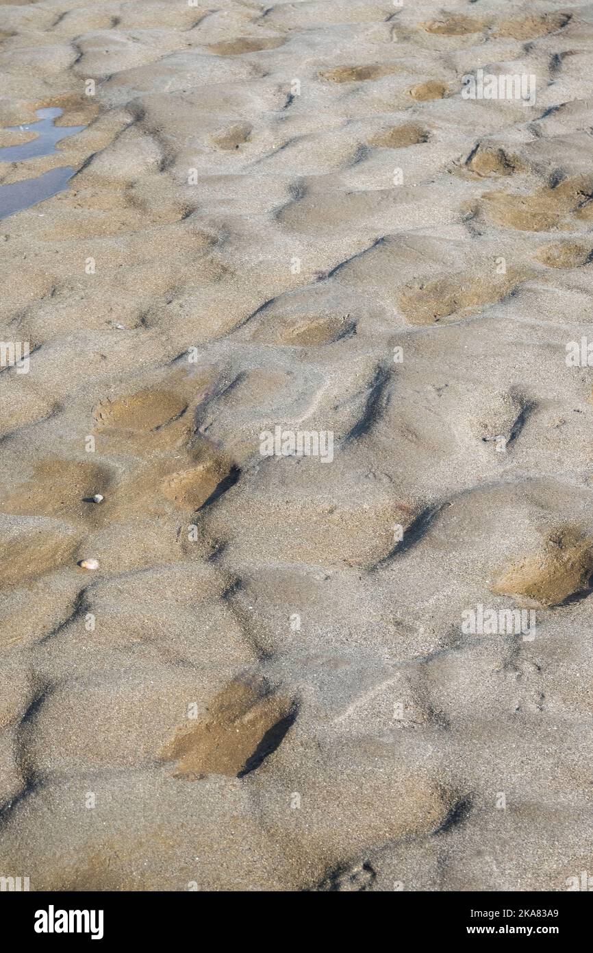 Dry lagoon soil with wavy sand, granular forms and a bit of sea water ...