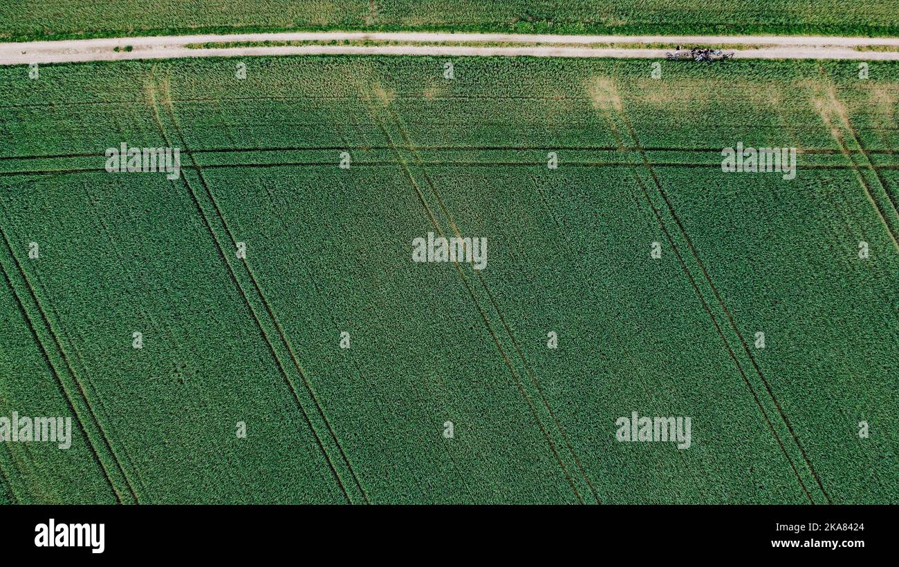 An aerial view of a narrow path surrounded by green grass on both sides ...