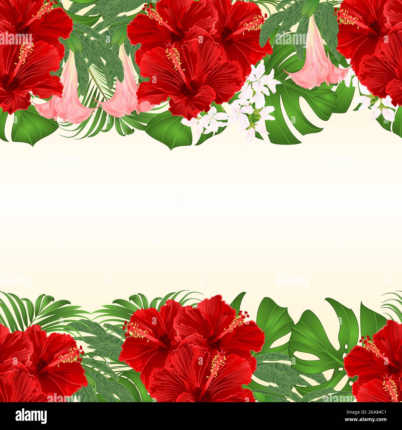 Floral seamless background bouquet with tropical flowers floral ...