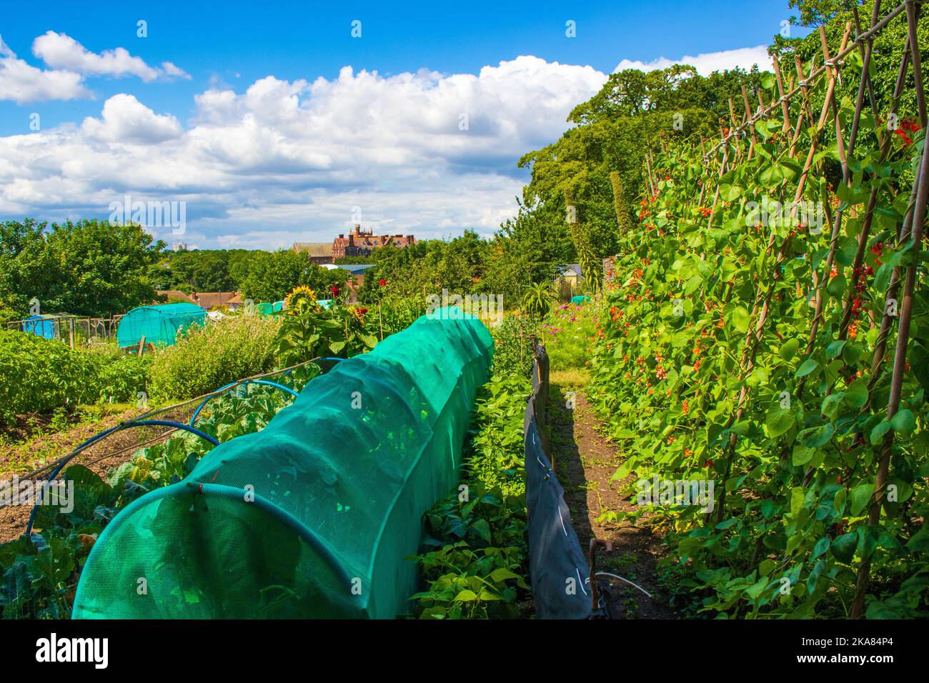 Cemetery Gates Allotments-community garden in Ramsgate,UK Stock Photo ...