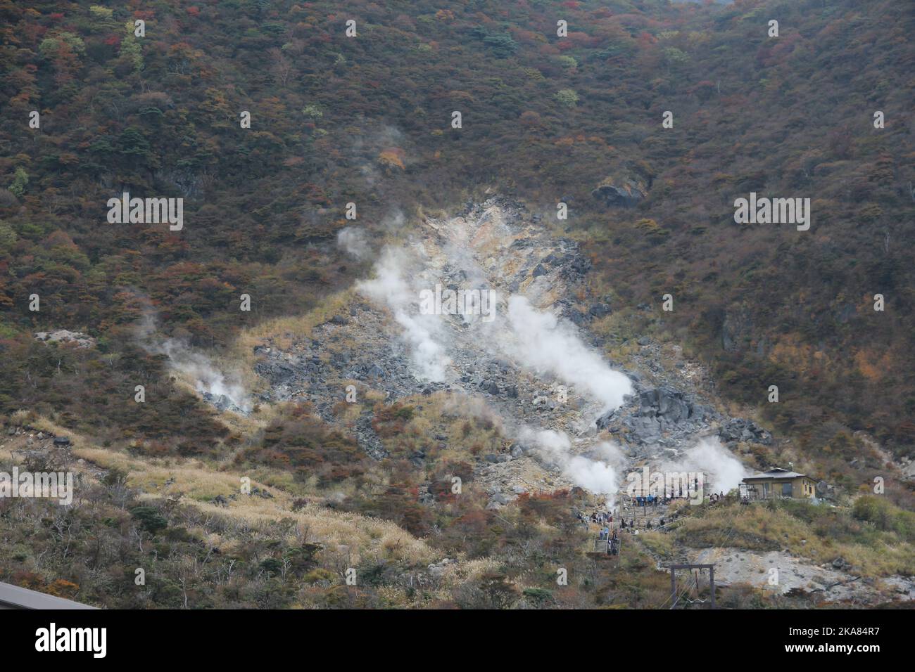 Active sulphur vents of Owakudani at Hakone national park, Japan Stock Photo - Alamy