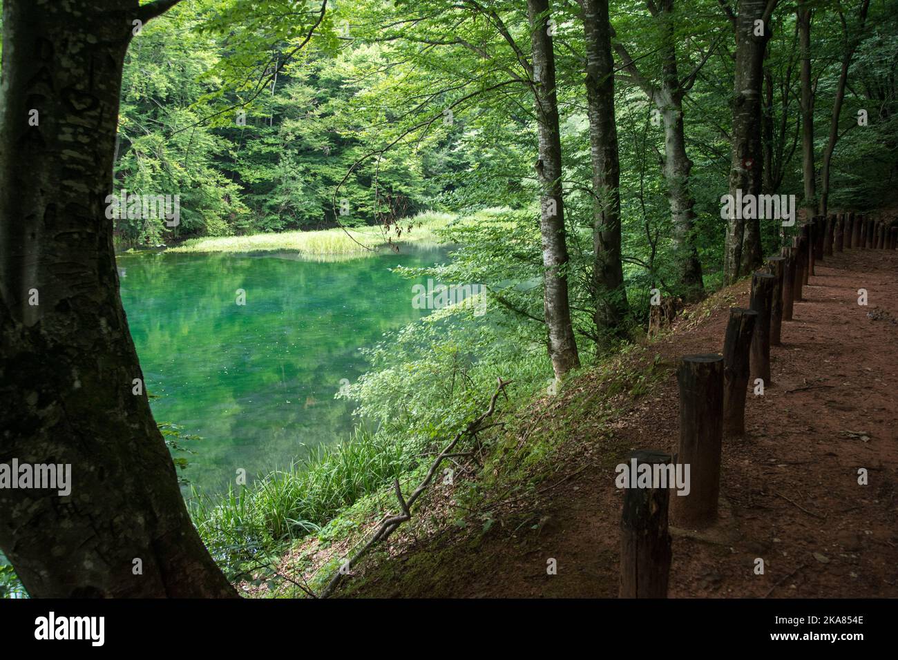 Grza lake hi-res stock photography and images - Alamy