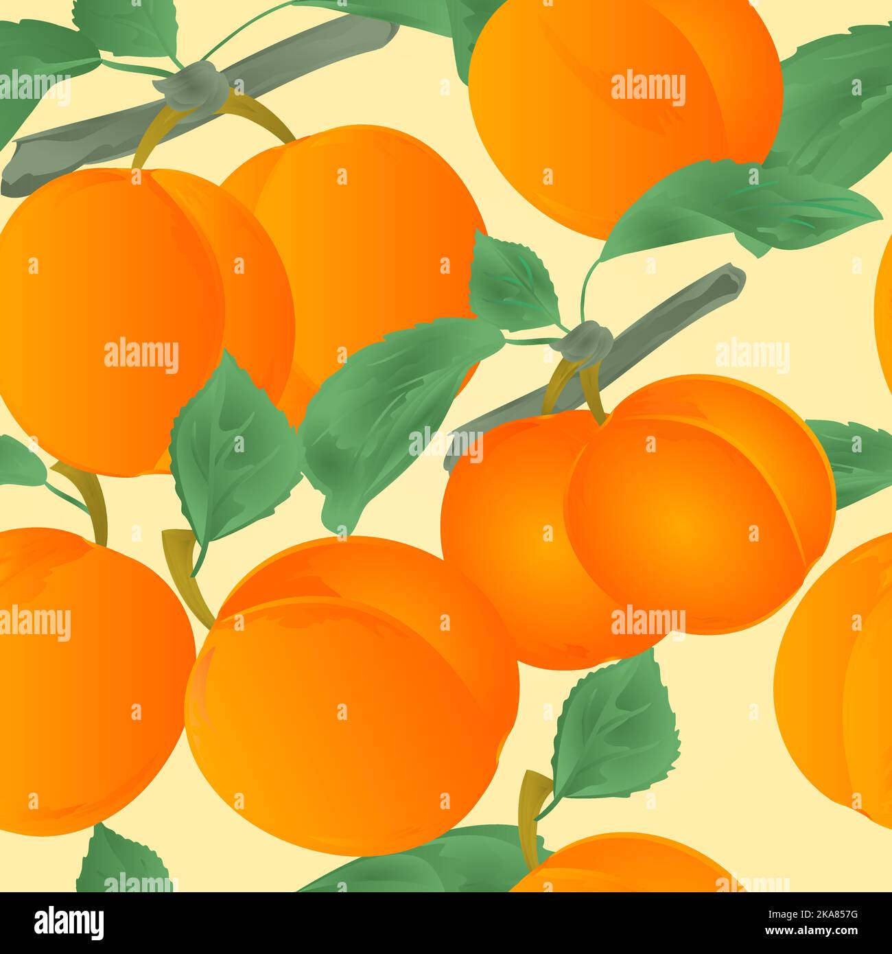 Seamless texture apricots with leaves dessert fruit vector Illustration ...