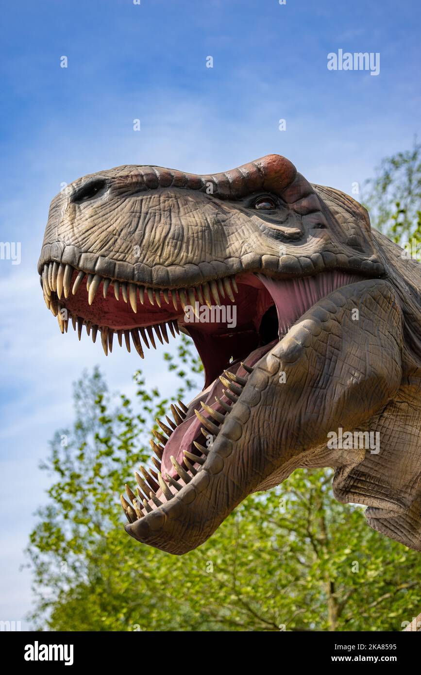 A big scale Tyrannosaurus or T rex anamotrainic in Dierenrijk Zoo ...