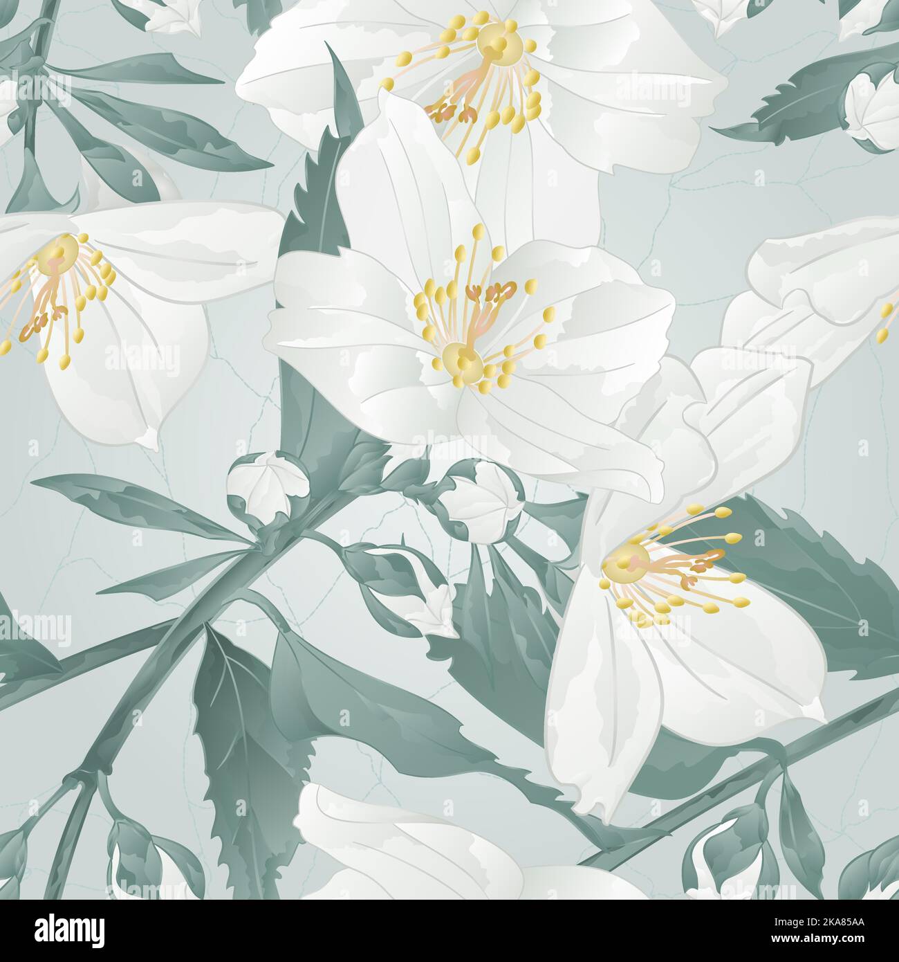 Seamless texture twig flower jasmine and buds crack vintage vector ...