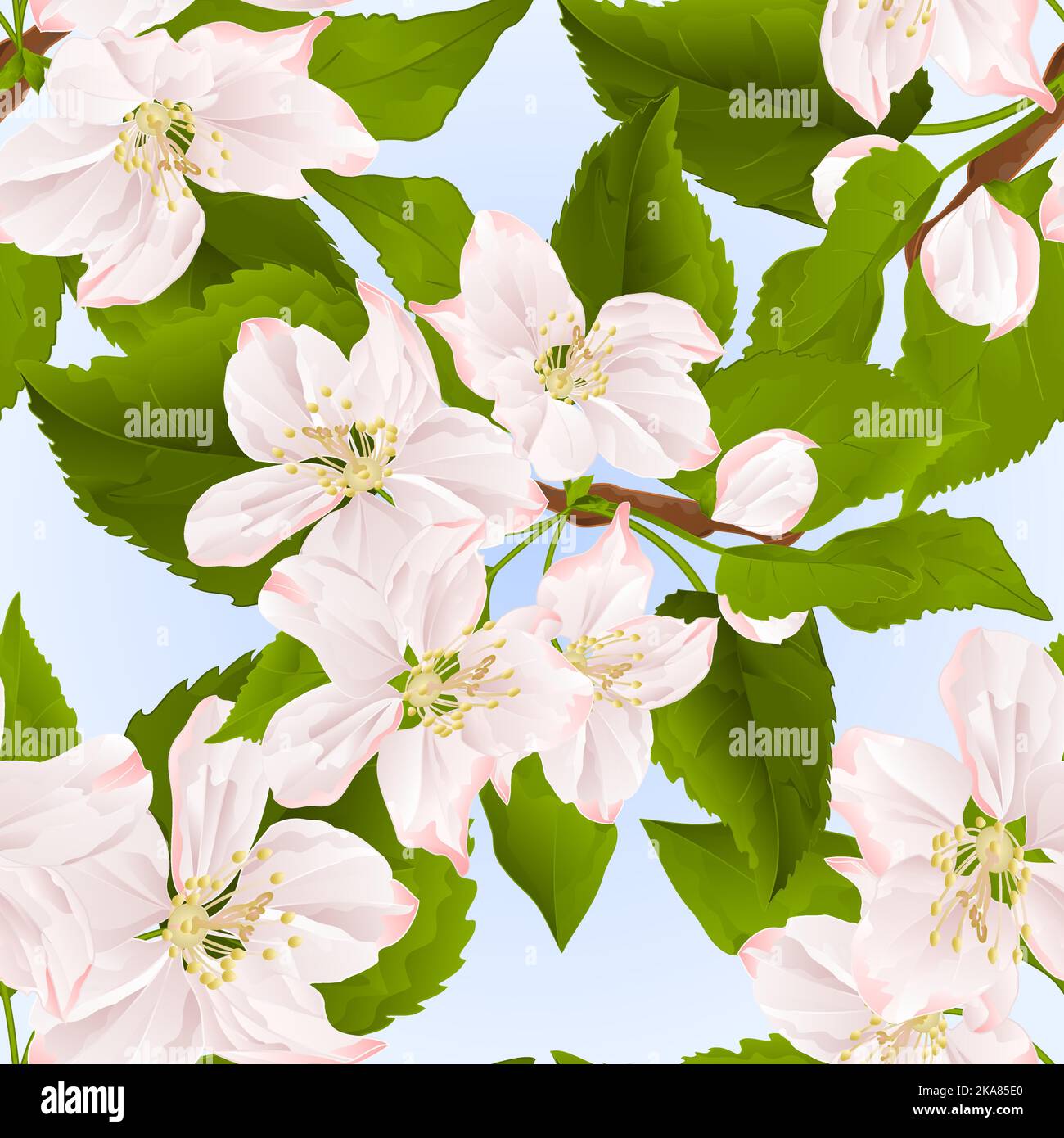 Seamless texture Twig of apple tree with flowers blue background ...