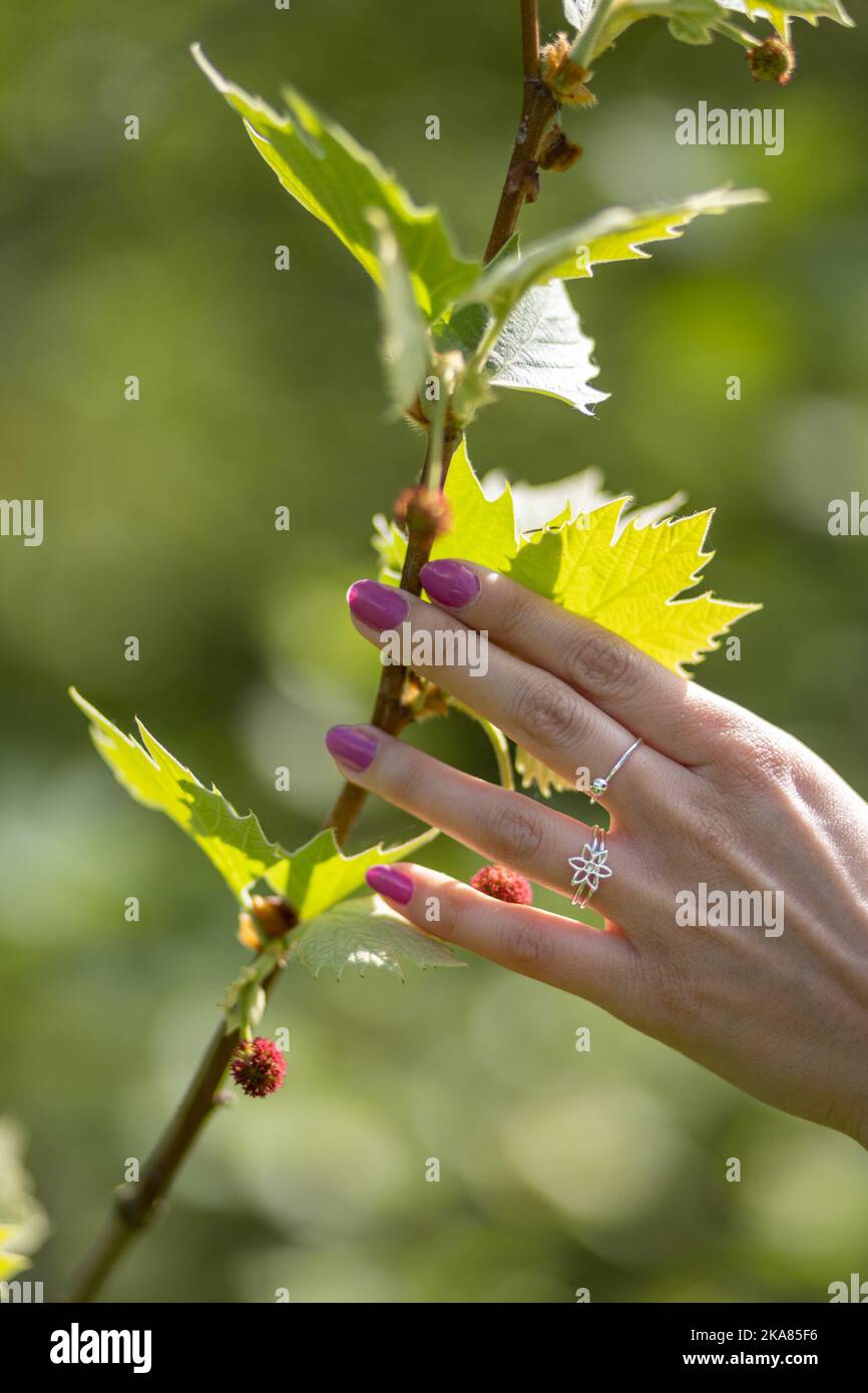 A vertical close-up shot of a model's hand touching a tree branch in a ...
