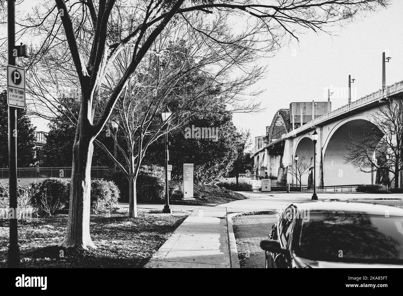 A view of footpath surrounded by trees near bridge in black and white ...