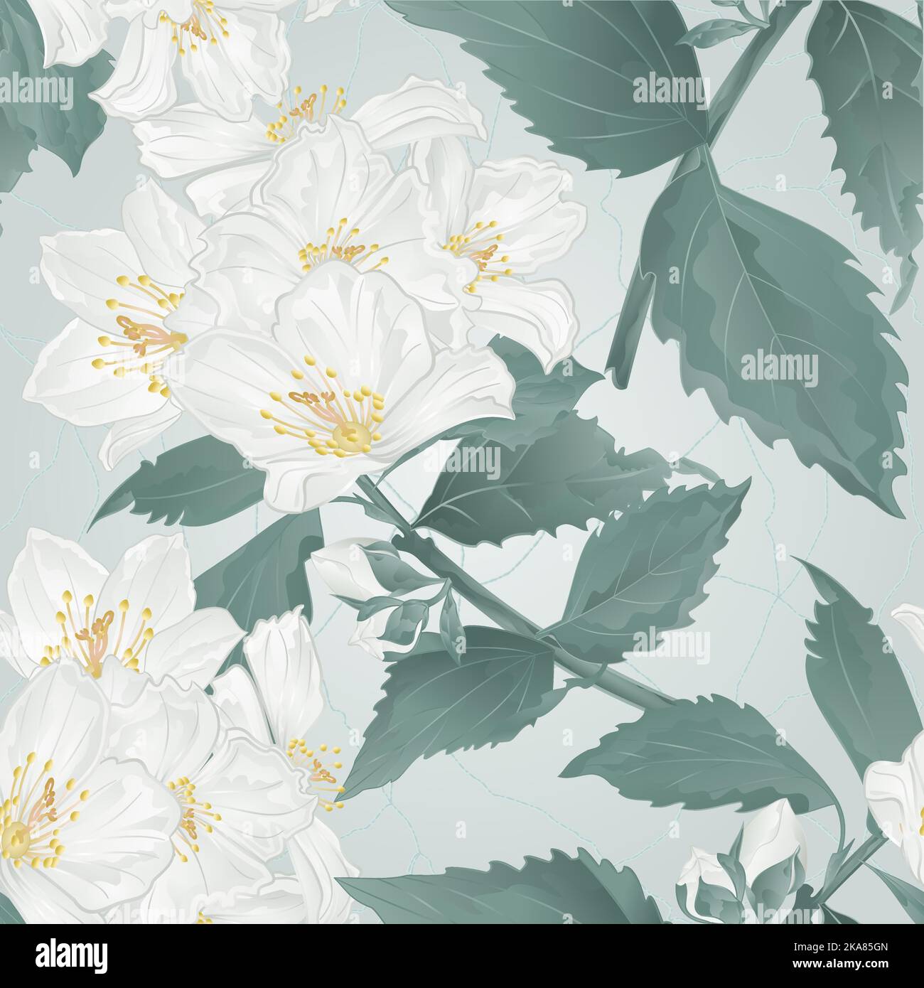 Seamless texture twig spring flower jasmine and buds crack vintage ...