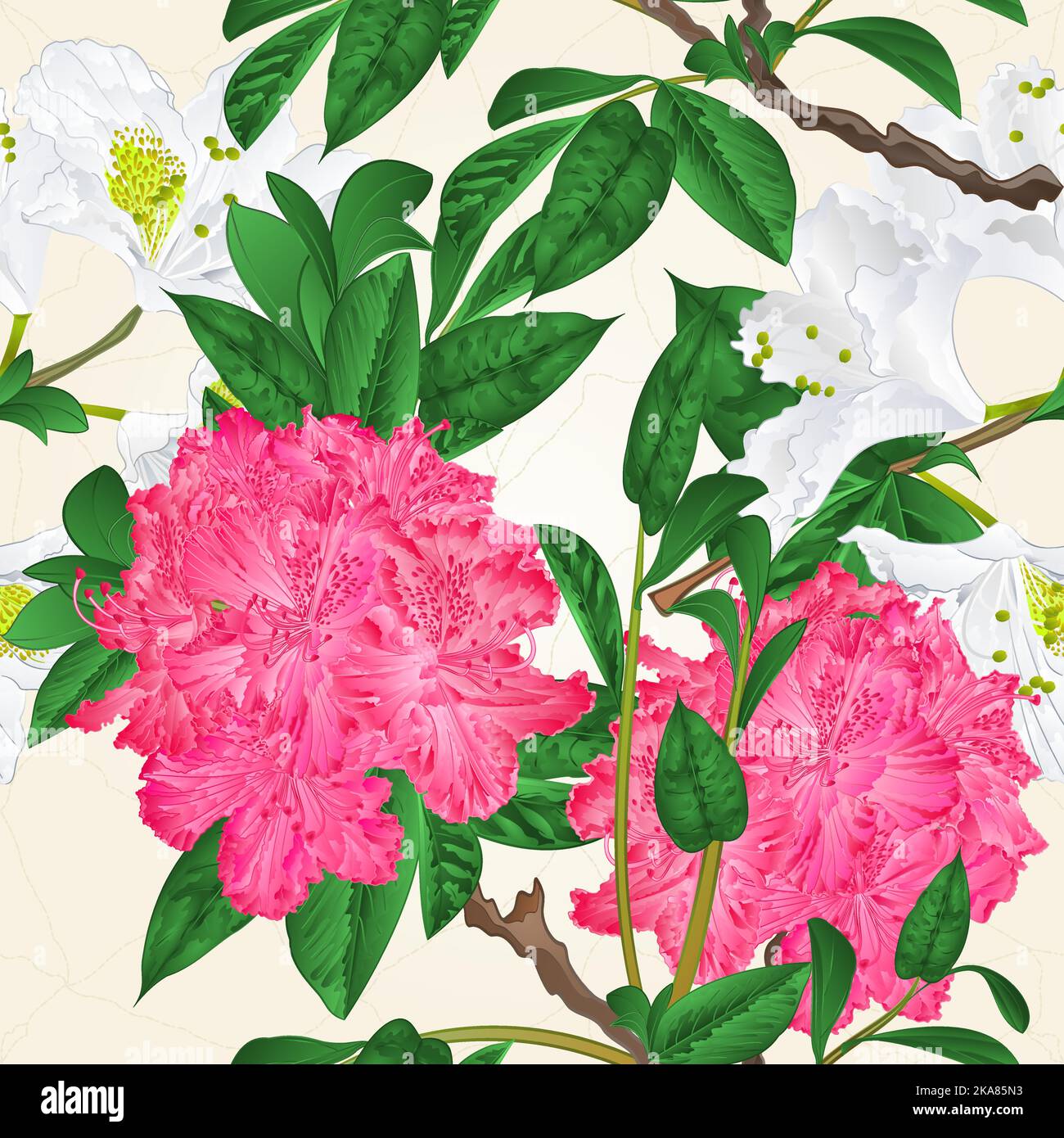 Seamless texture flowers pink and white rhododendrons twig Mountain ...
