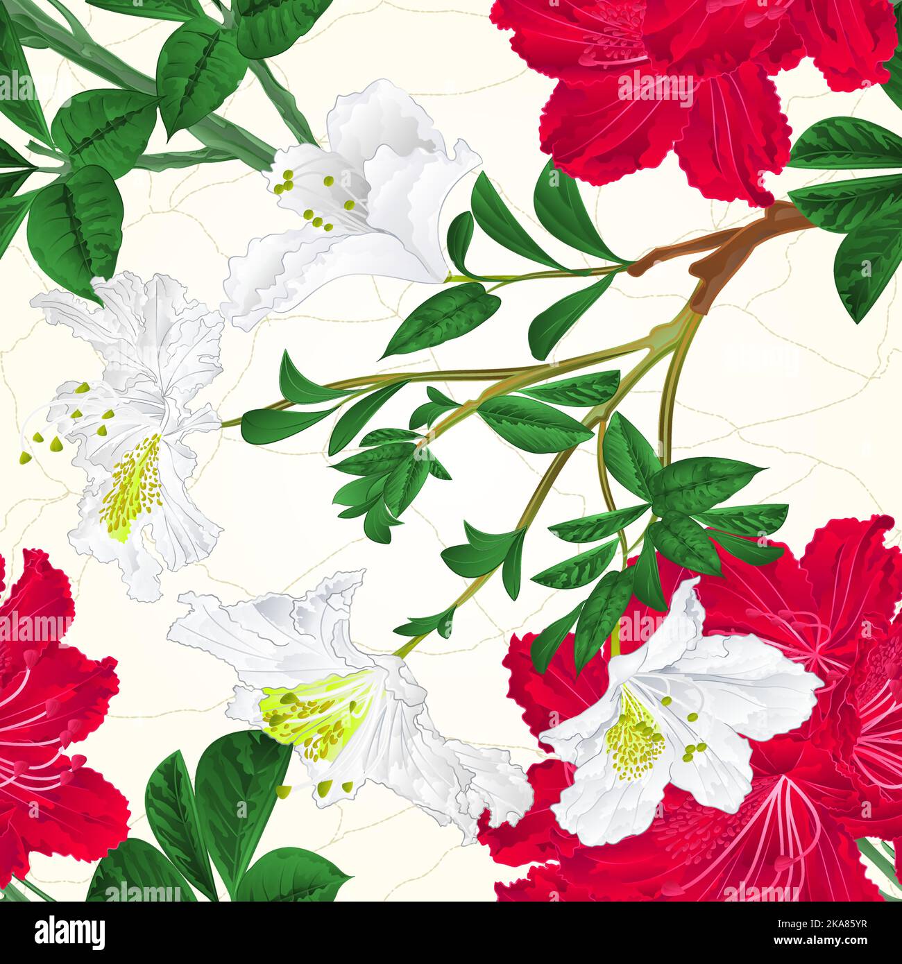 Seamless texture flowers white and red rhododendrons twig Mountain ...