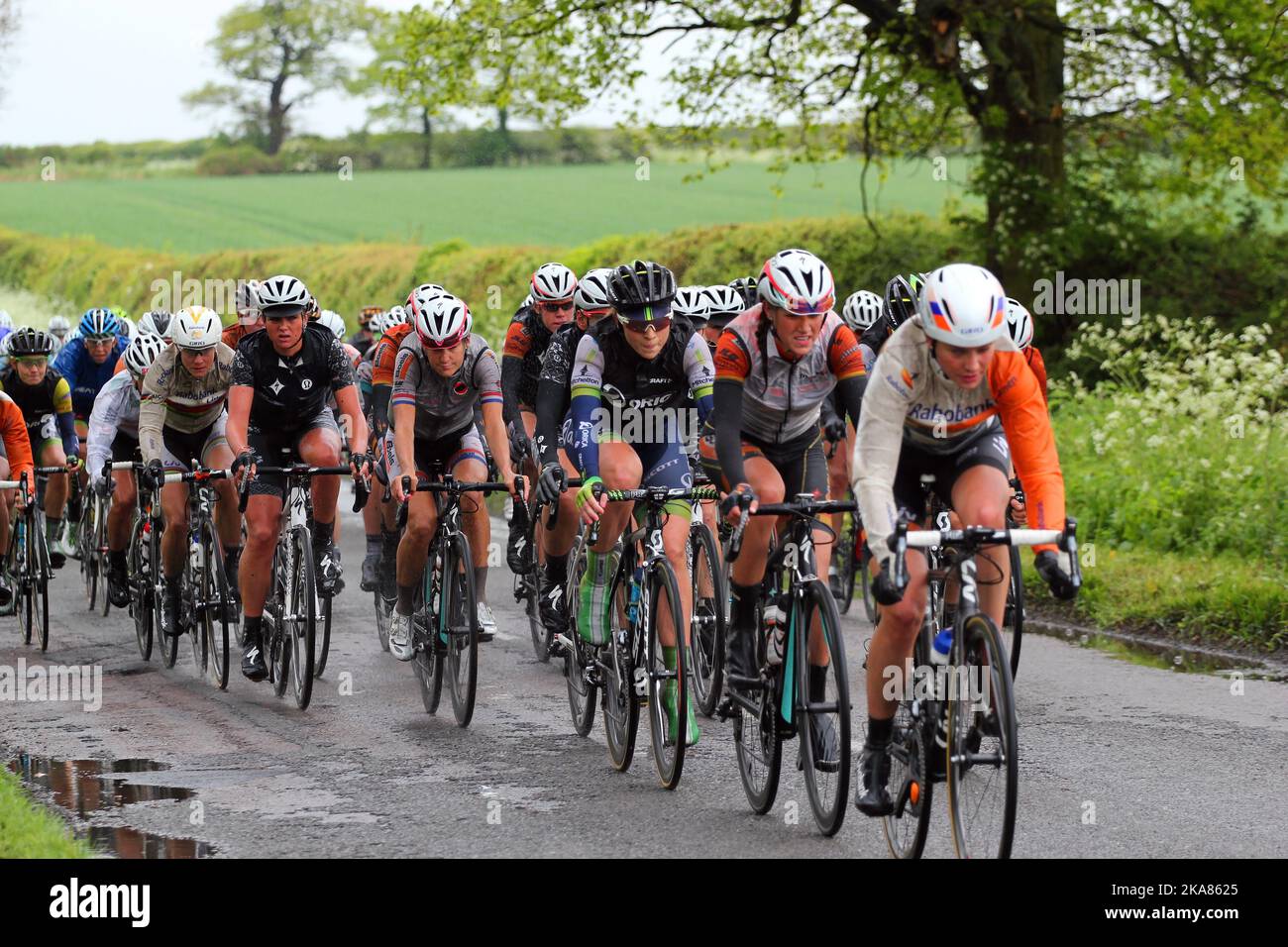 Racing bunch hi-res stock photography and images - Alamy