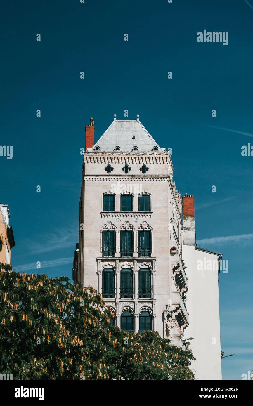 A vertical shot of Neuschwanstein castle behind blooming tree under ...
