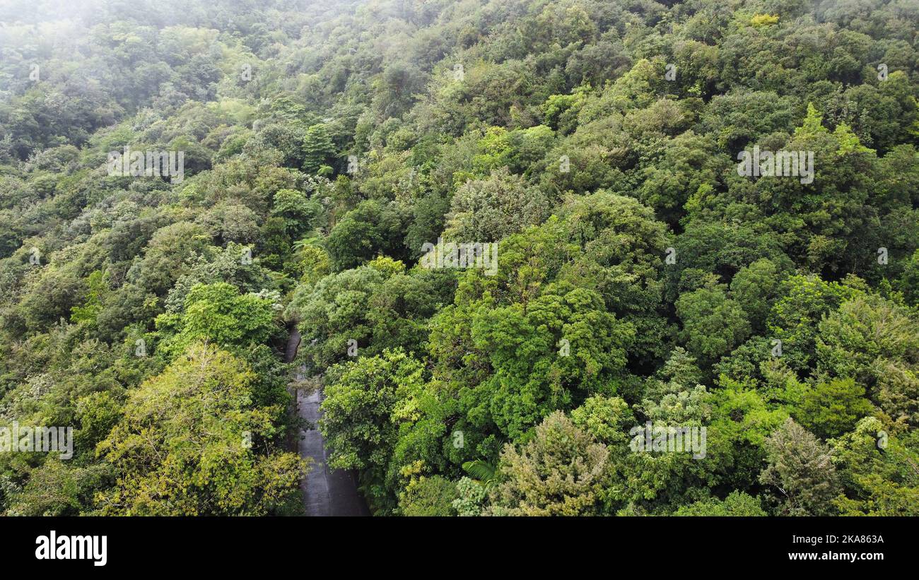 A top view of a countryside road in summer Stock Photo - Alamy