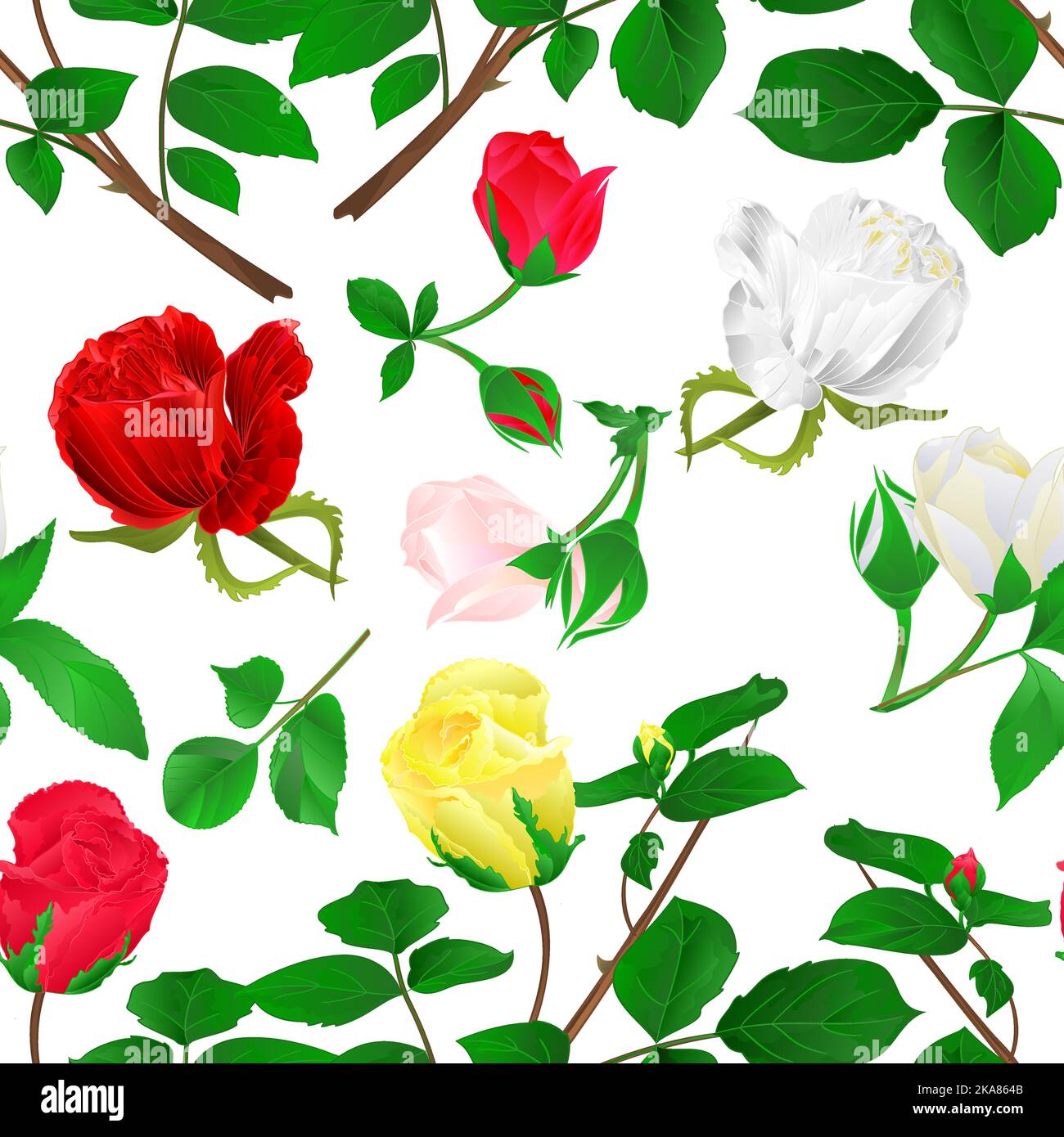 Seamless texture rosebuds red yellow white stem with leaves and blossoms on a white background ...