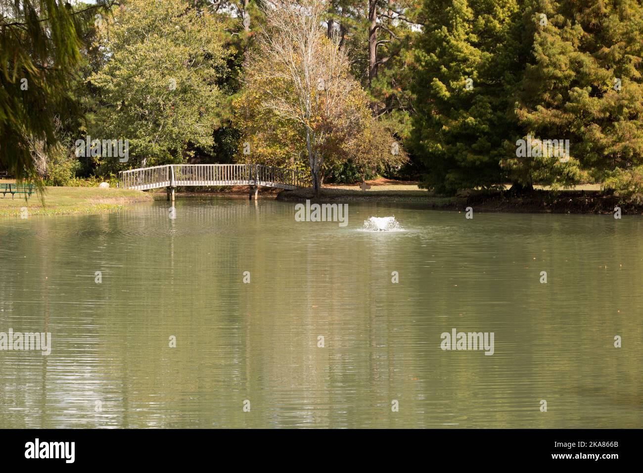 Lake, Pond, Park, Waterpark GA,USA Stock Photo - Alamy