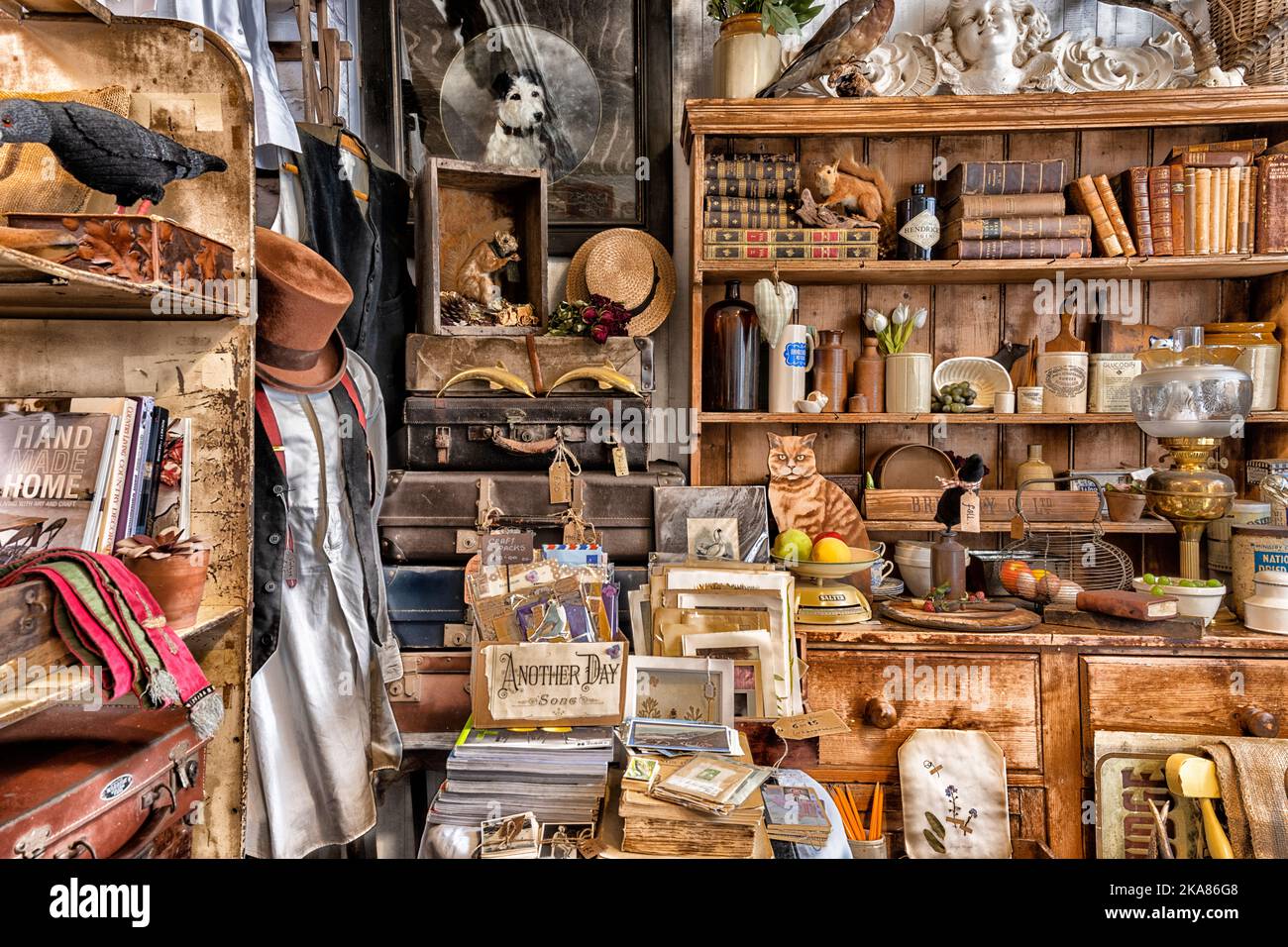 Interior view of antique shop showing antiques, bric-a-brac and ...