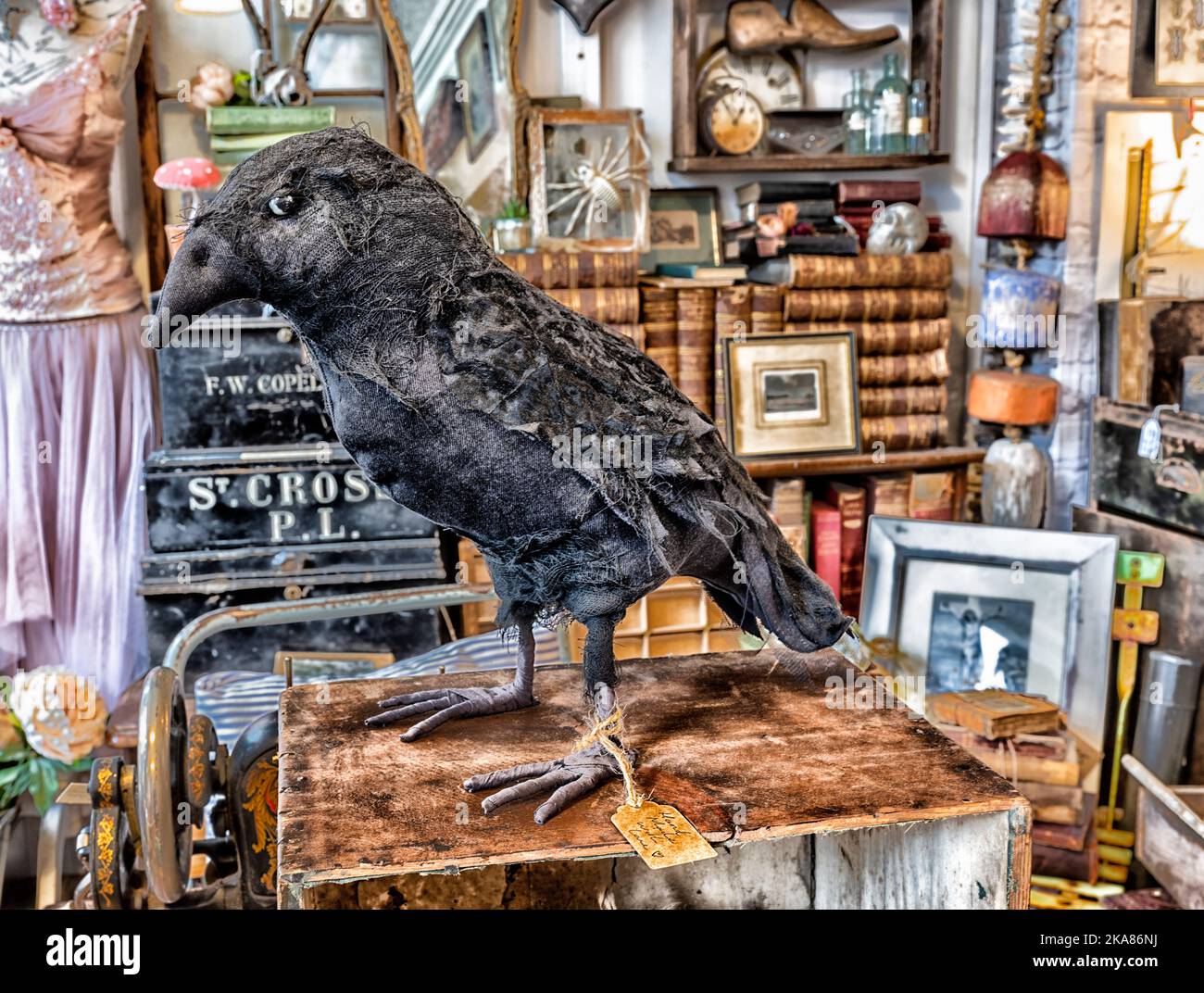 Interior view of antique shop showing antiques, bric-a-brac and ...