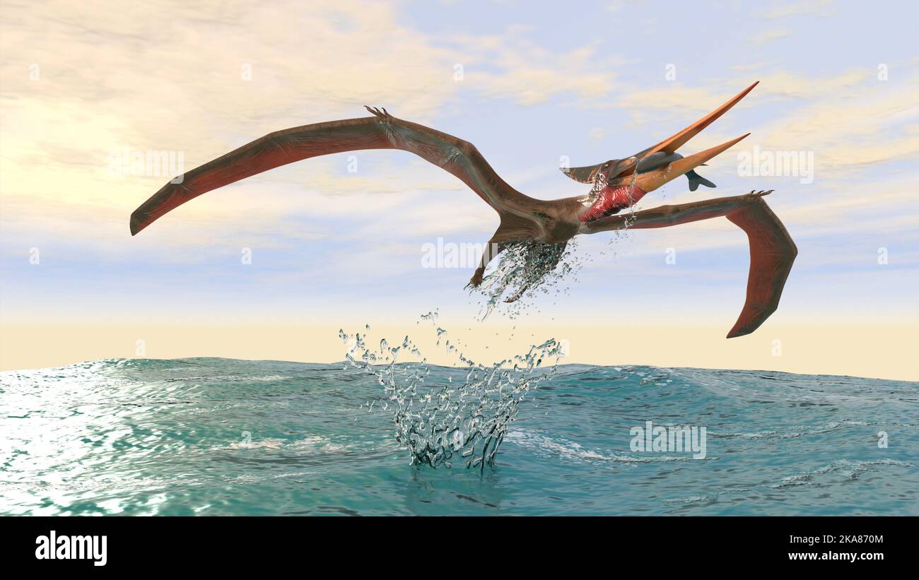 Dinosaur pteranodon hi-res stock photography and images - Alamy