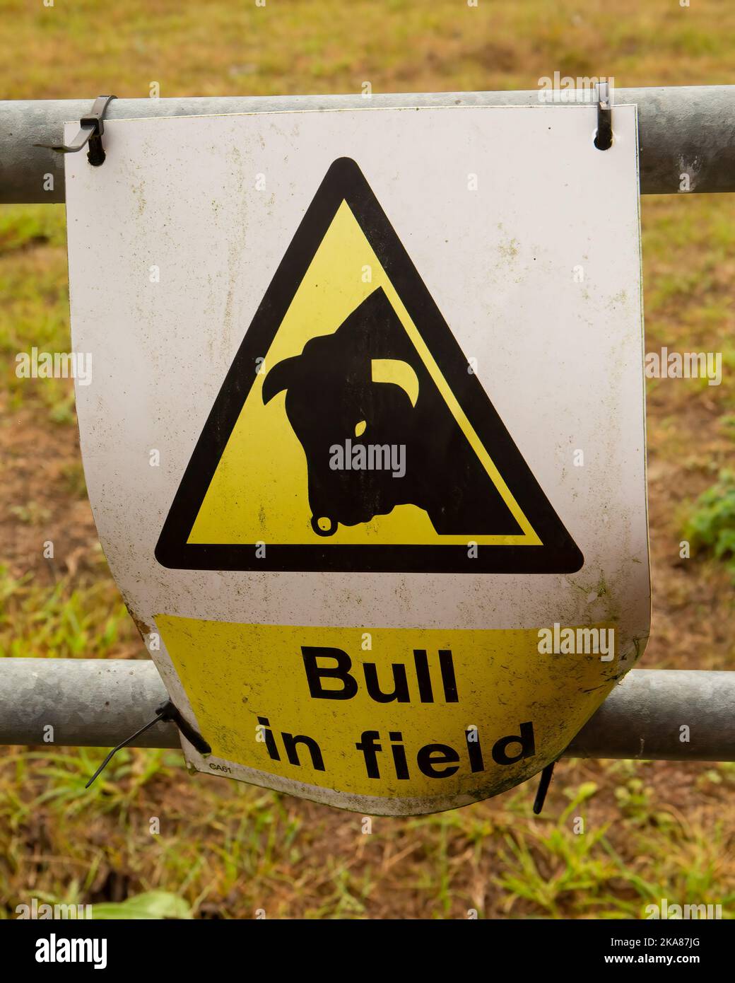 Sign bull field hi-res stock photography and images - Alamy
