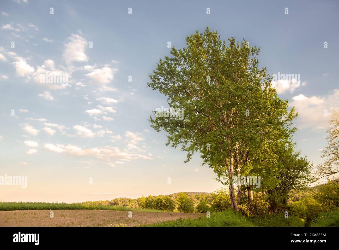Agricultural line hi-res stock photography and images - Alamy