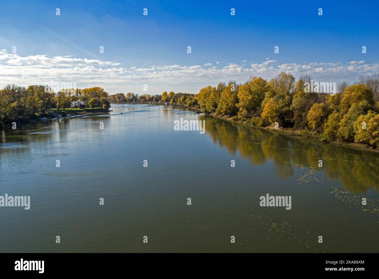 A mesmerizing view of Tisa River surrounded with trees in Vojvodina ...