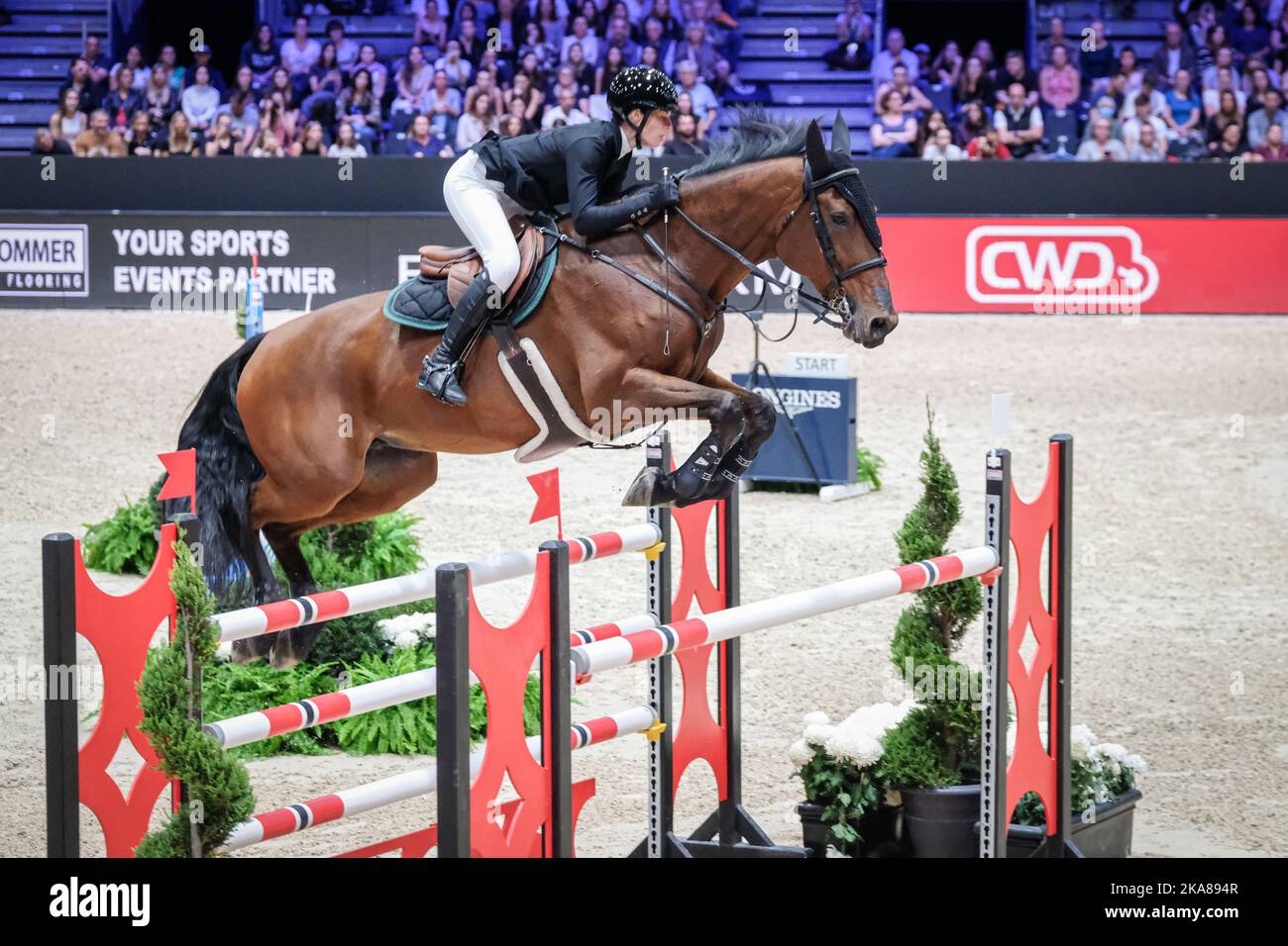 Avec un saut à cheval hi-res stock photography and images - Alamy