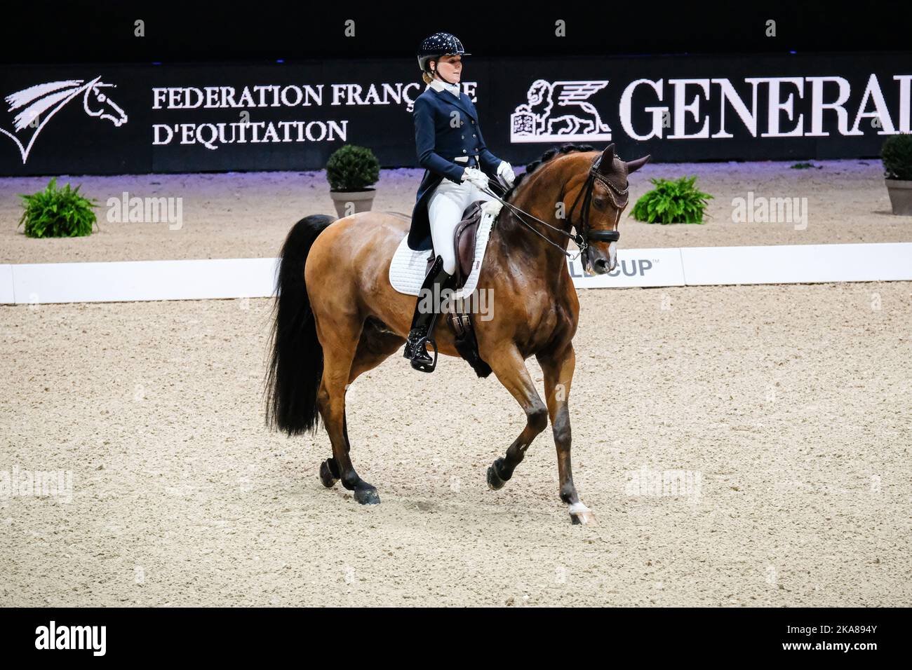 Cavaliere suedoise hi-res stock photography and images - Alamy