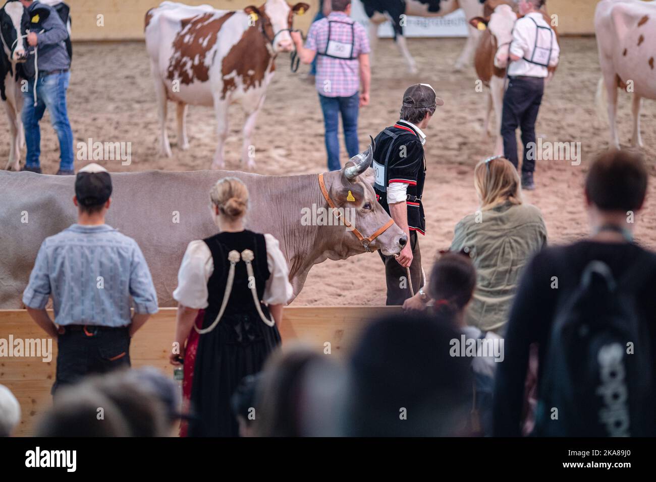A group of people watching rodeo during the BEA exhibition in Bern ...