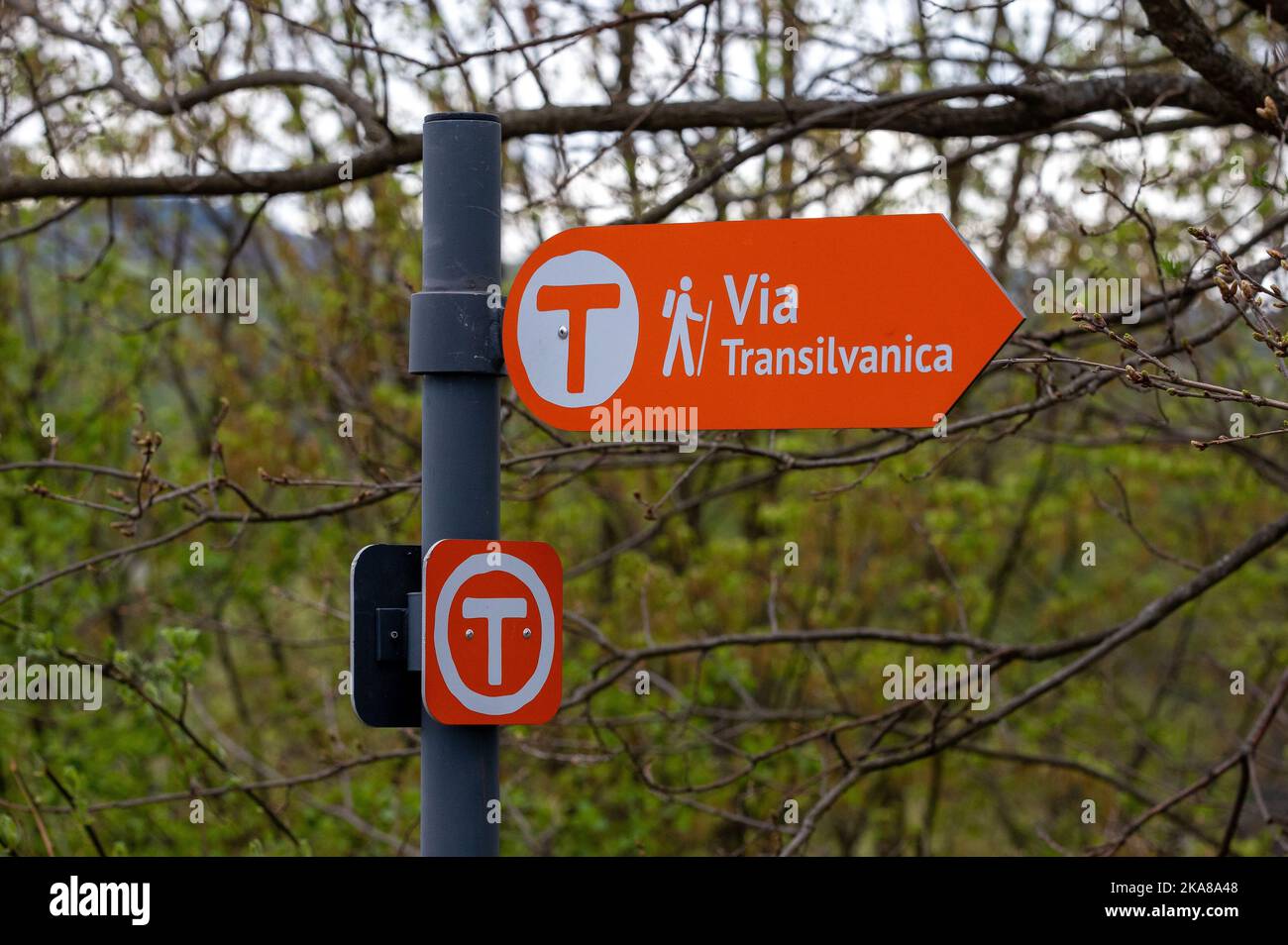 a close-up with Via Transilvanica tourist indicator in Romania, nature ...