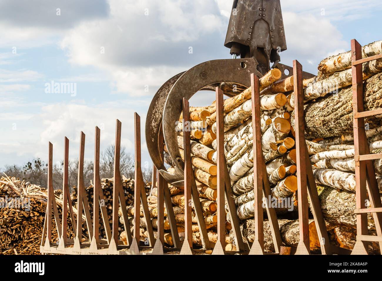 Log loader or forestry machine loads a log truck Stock Photo - Alamy