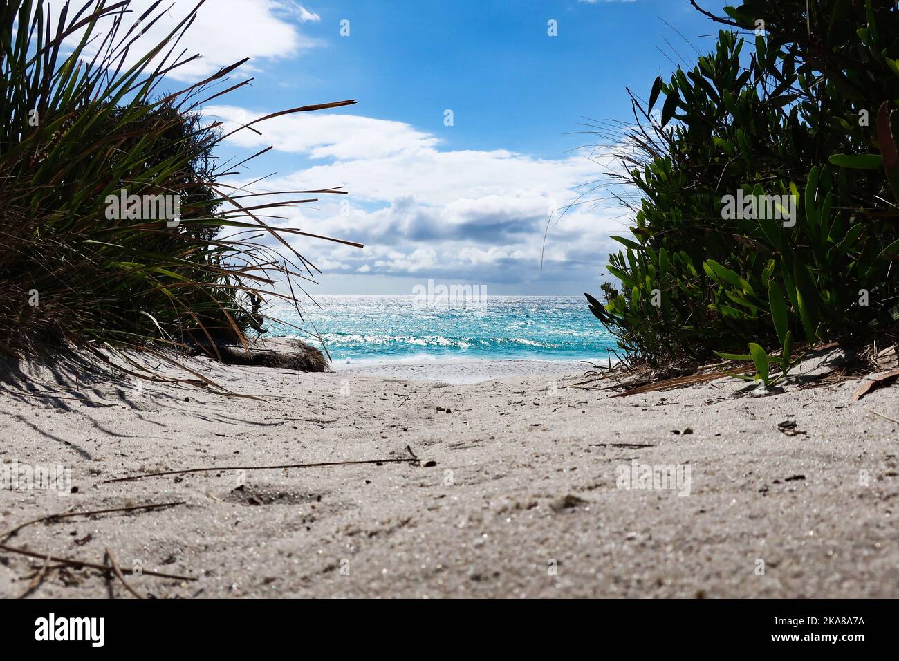 A natural view of sandy beach with bushes on the seaside during ...
