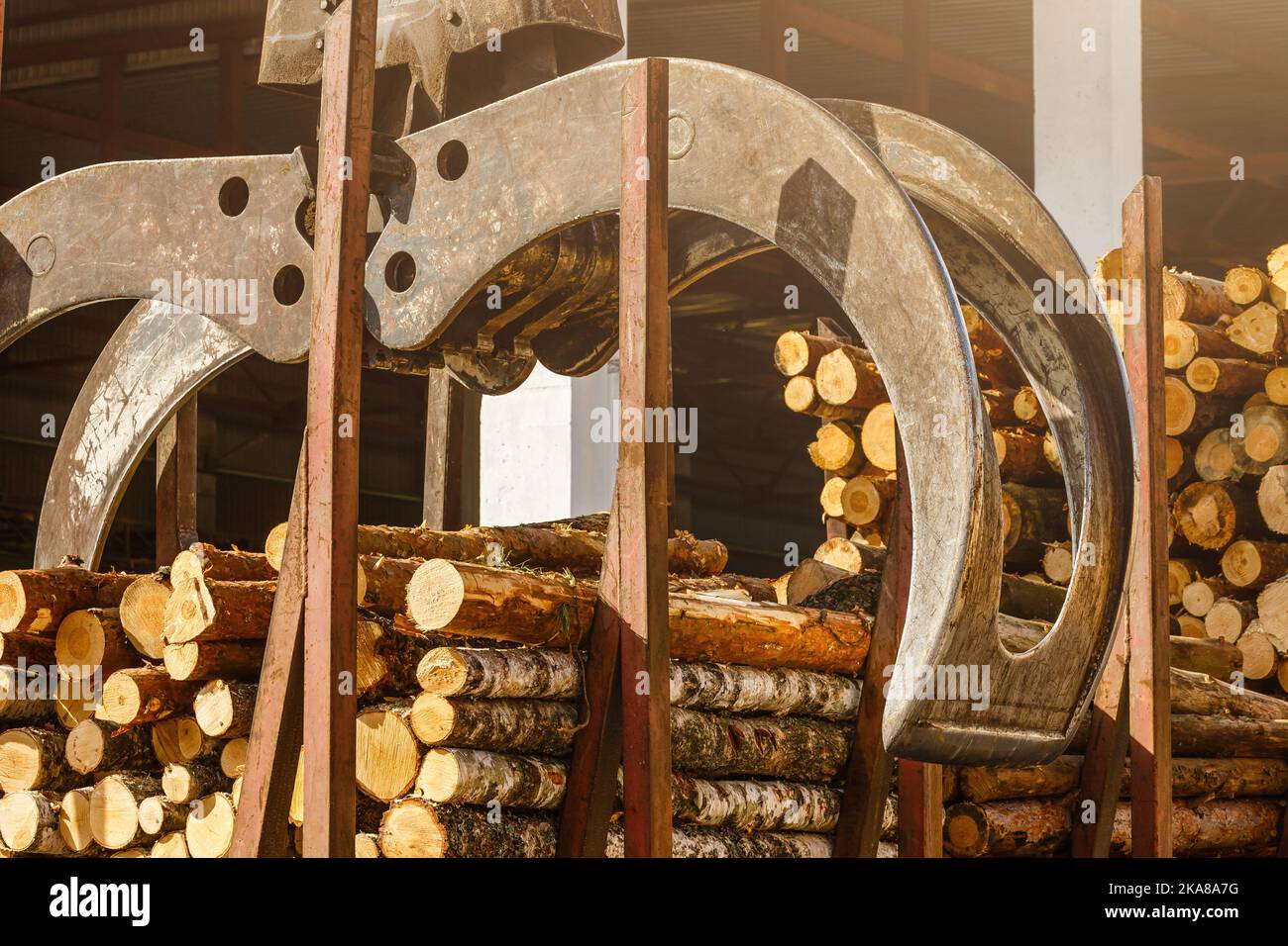 Log loader or forestry machine loads a log truck Stock Photo - Alamy