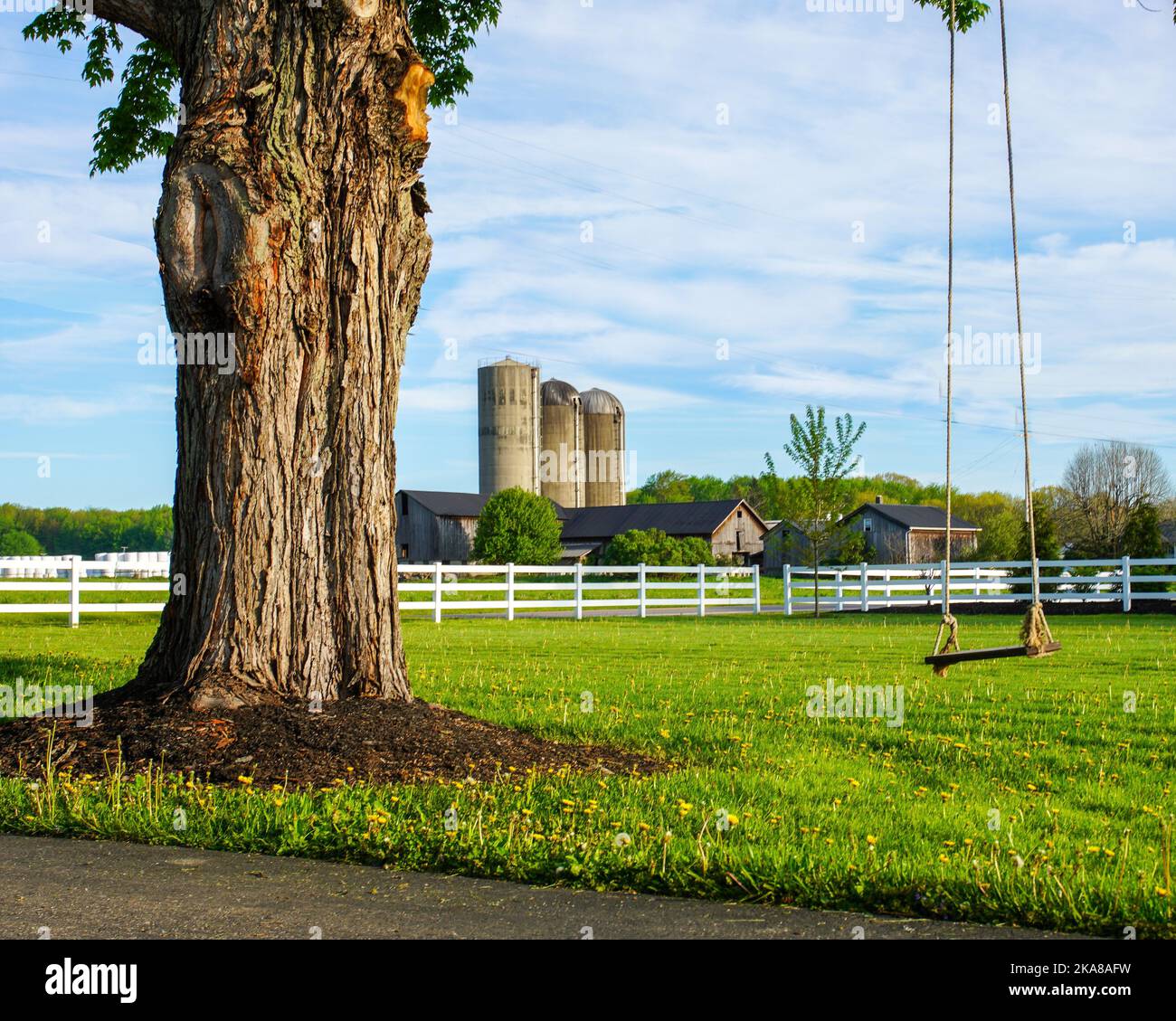 The Barn at Hart's Grove, a family-owned rustic barn wedding venue and ...
