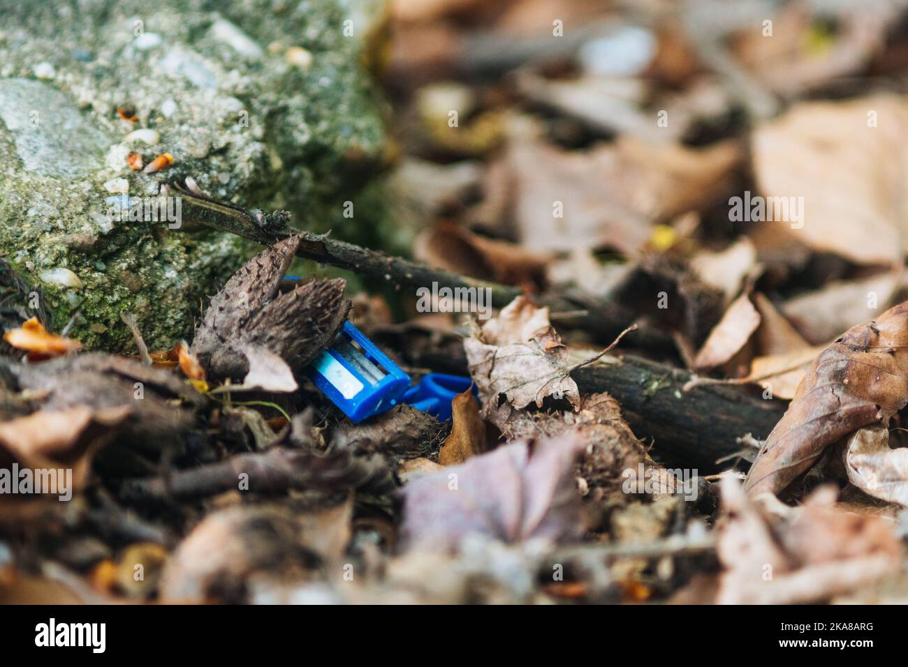 A bunch of garbage in a forest - environmental pollution concept Stock ...