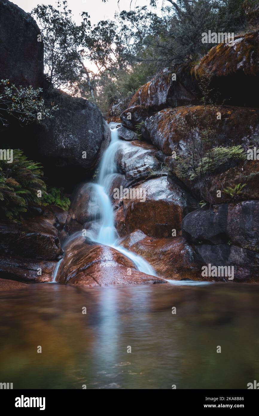 Beautiful shot forest stream in hi-res stock photography and images - Alamy