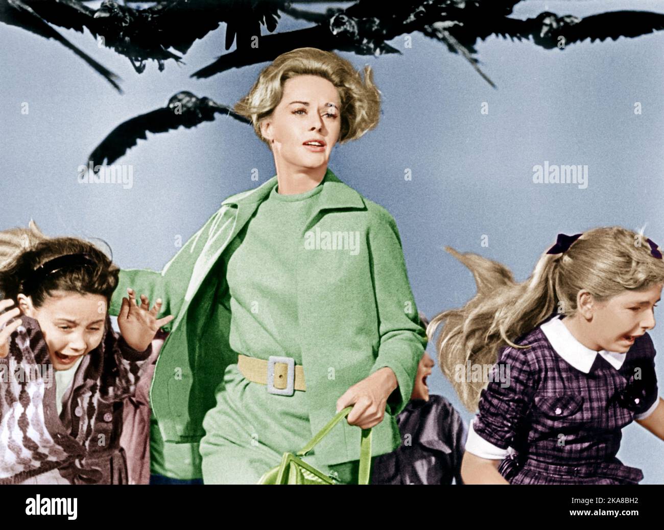 1960s birds hi-res stock photography and images - Alamy