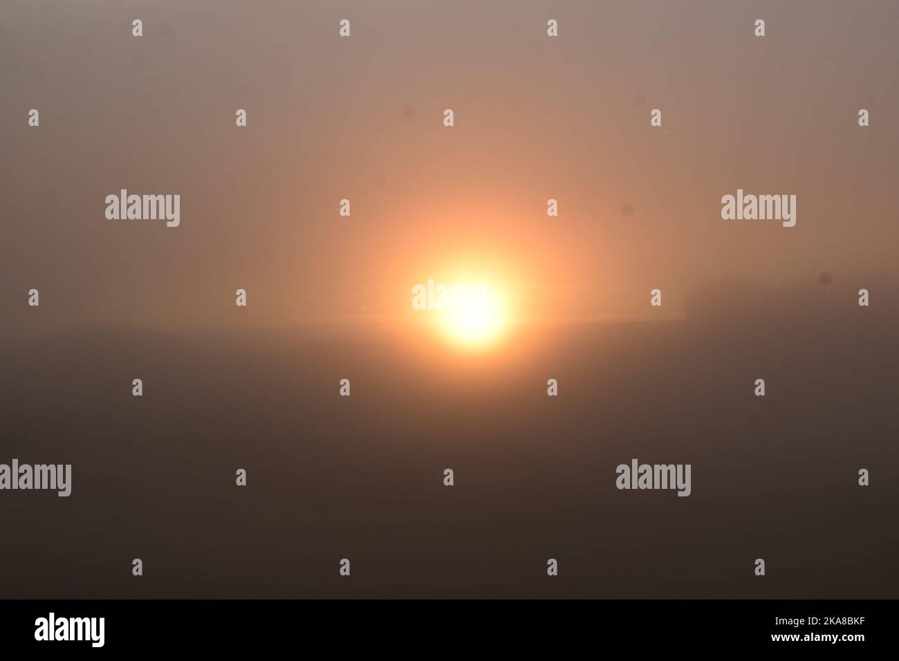 sun in the heavy morning fog Stock Photo - Alamy